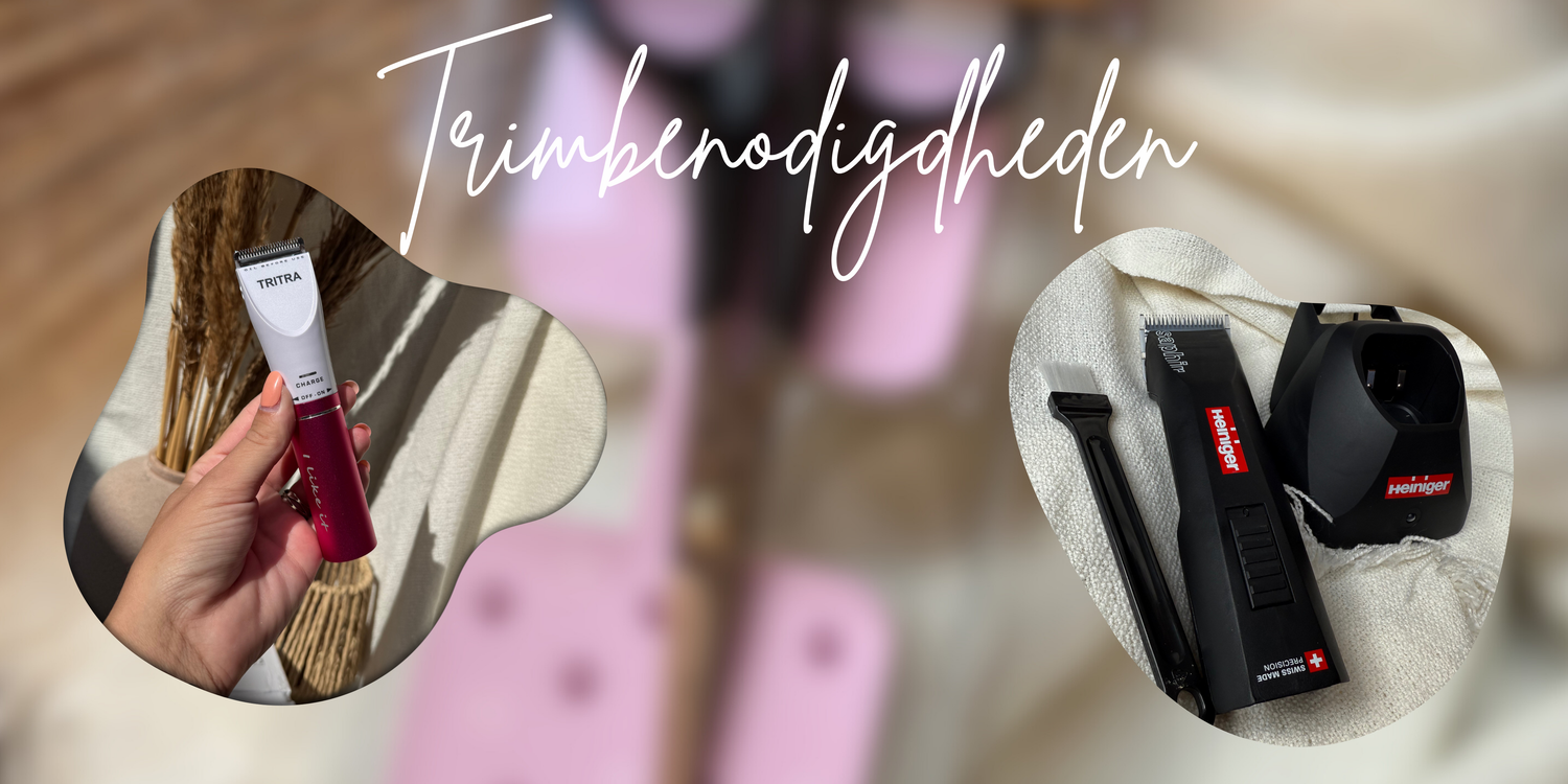 Buddha’s Doodle Shop | Cursussen, knippen & trimmen – Buddha's Doodle ...